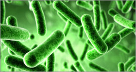 Microbiology - Geneva Labs